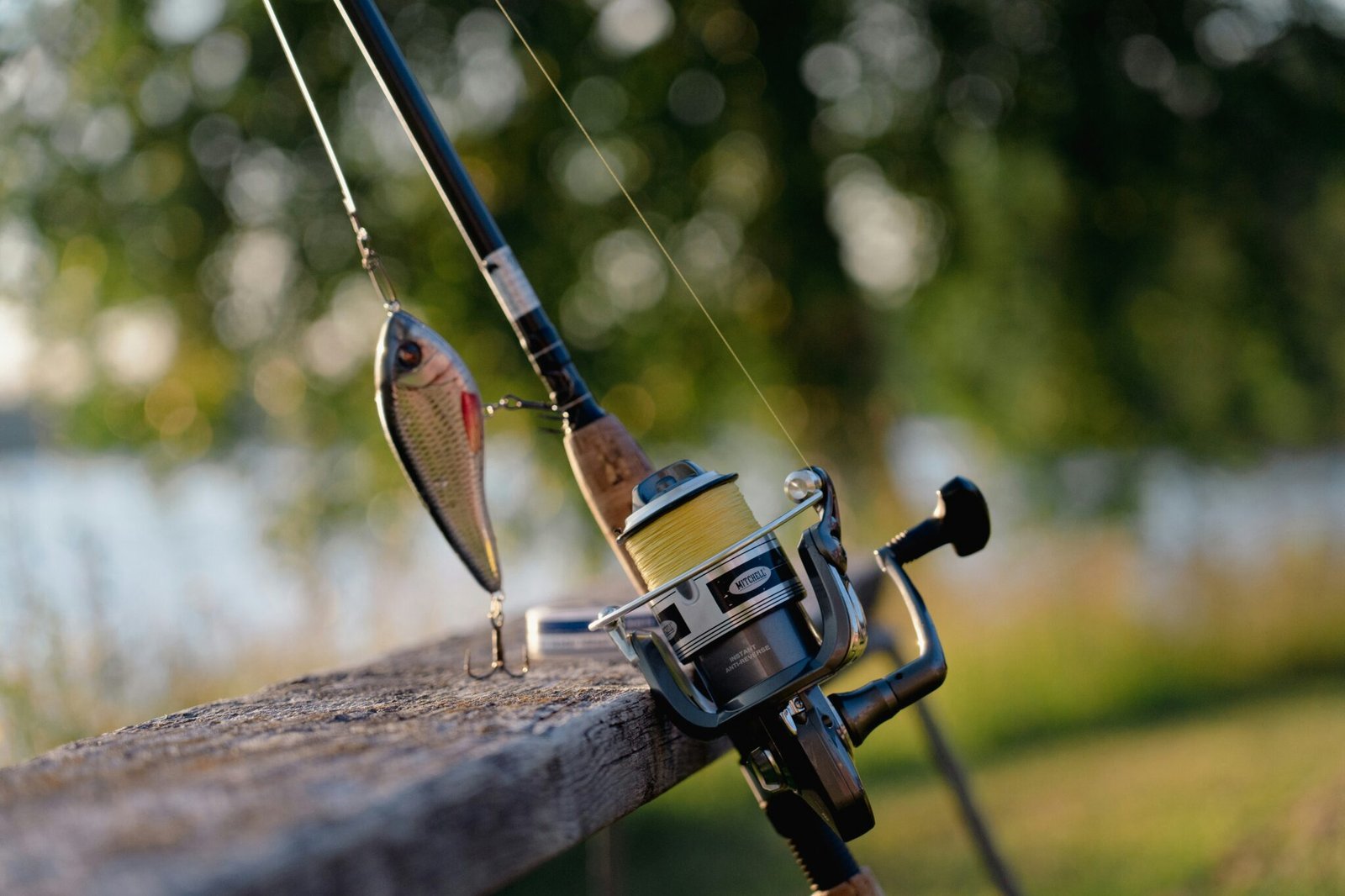 Stren Official Website – Trusted Fishing Line for Every Catch